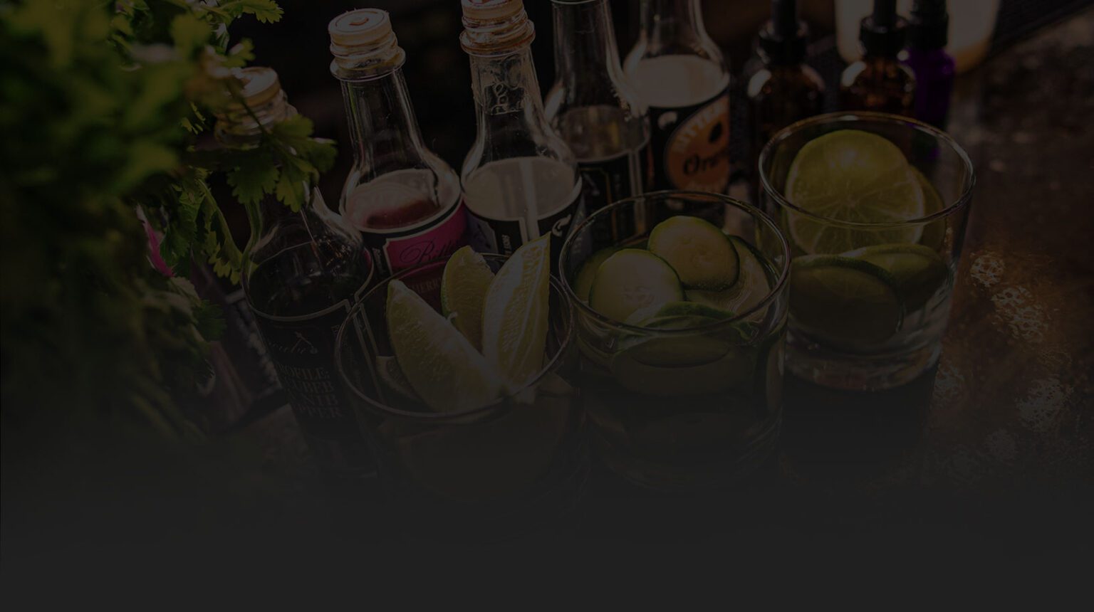 Cocktail Recipes - Tattersall Distilling